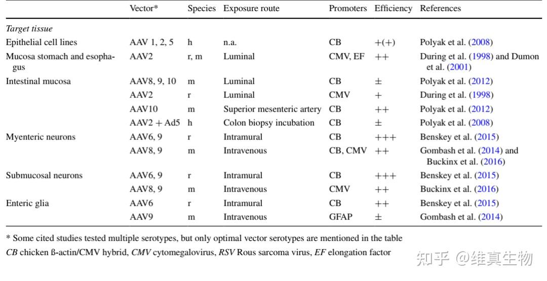 AAV感染肠道组织—血清型/启动子/注射方式/用量 - 知乎