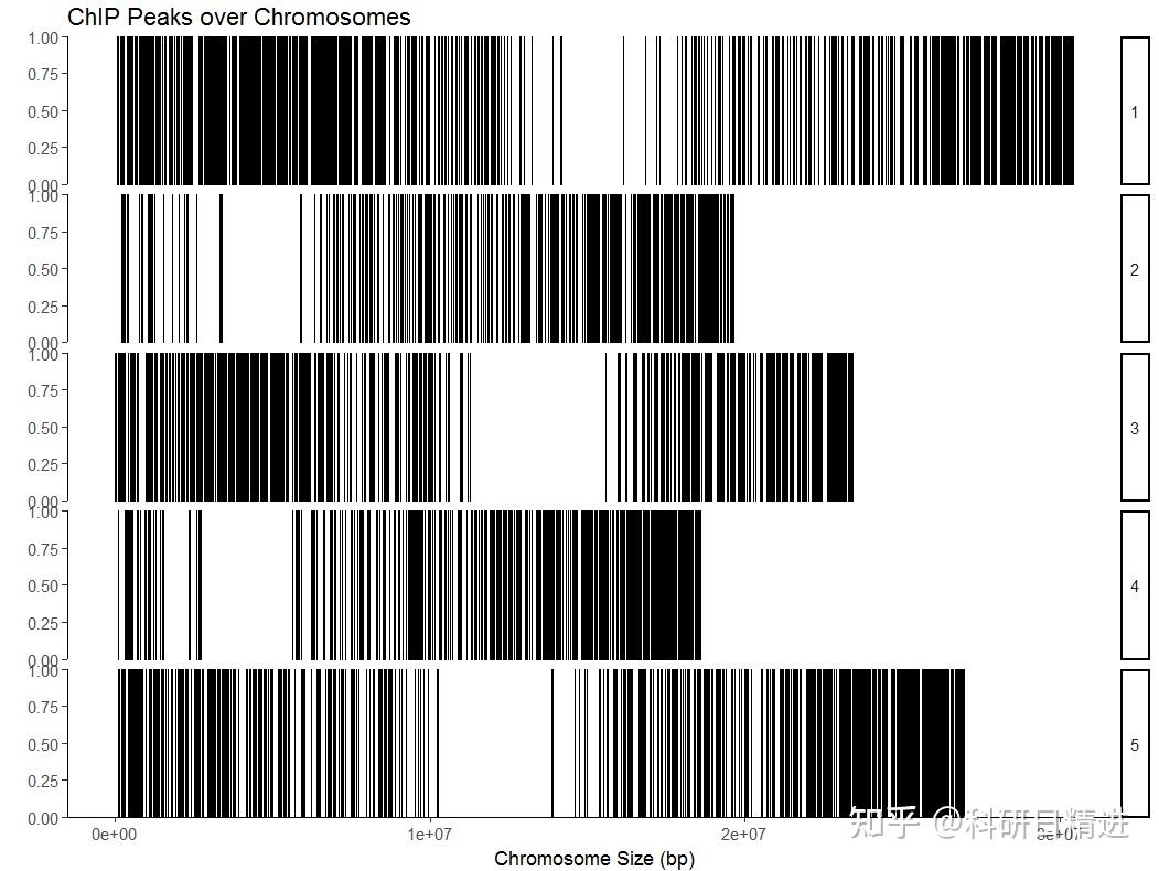 用ChIPseeker对ChIP-seq数据进行可视化，图表直观颜值高！ - 知乎