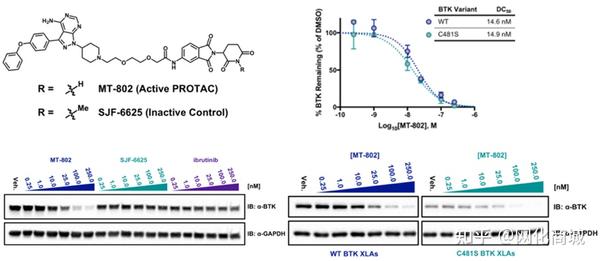 新药研发利器：PROTAC技术（最全解读） - 知乎