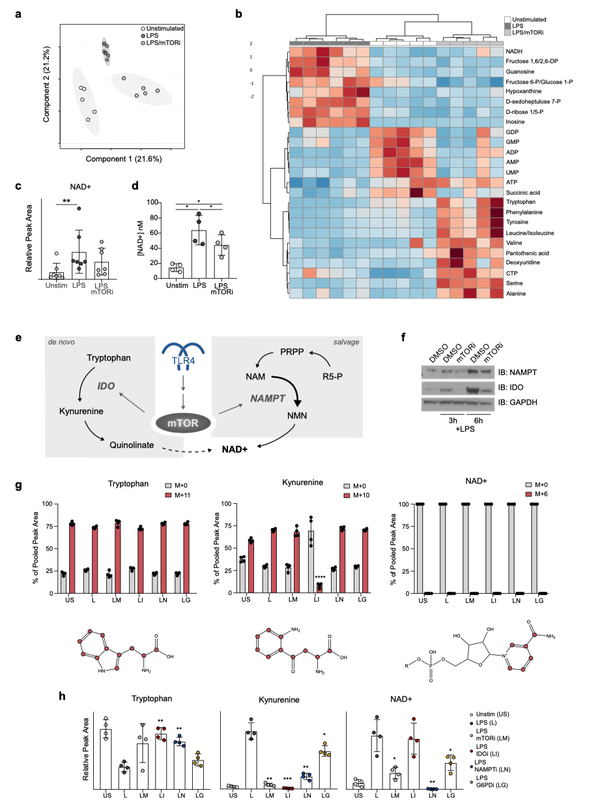 Nature新子刊丨mTOR对代谢的调节限制了LPS诱导的单核细胞炎症和促凝血反应 - 知乎