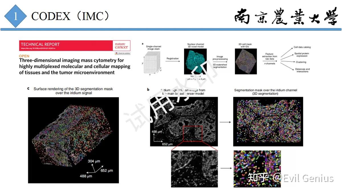 第26课PPT--CODEX（IMC、mIHC）基础分析梳理 - 知乎