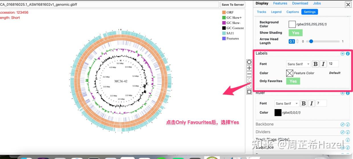 生信log22|CGviewer升级啦-交互式操作画基因组Circos圈图（使用和评价） - 知乎