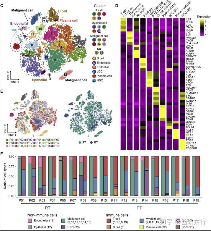 scRNA分析|单细胞文献Fig1中的分组umap图和细胞比例柱形图 - 知乎