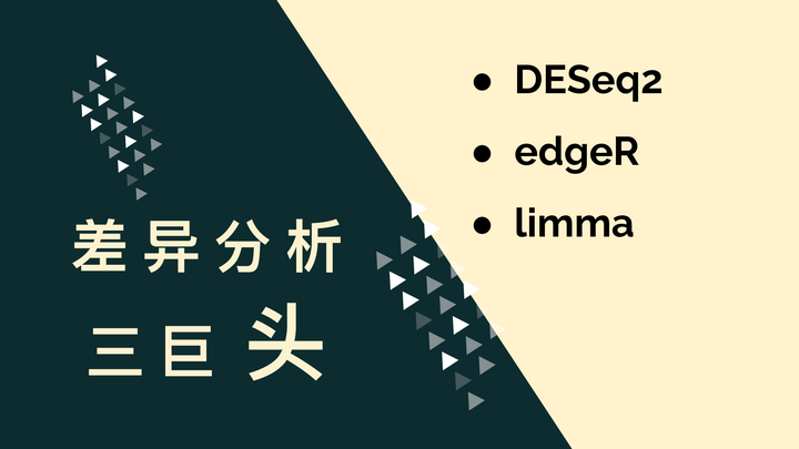 看完还不会来揍我 | 差异分析三巨头 —— DESeq2、edgeR 和 limma 包 | 附完整代码 + 注释 - 知乎
