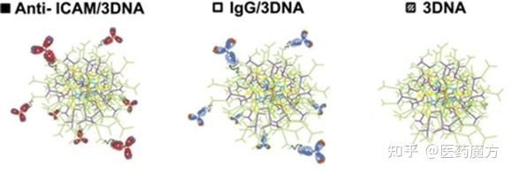 《创星》投资专栏| Code Biotherapeutics：开发独一无二的非病毒载体，突破基因疗法递送瓶颈 - 知乎