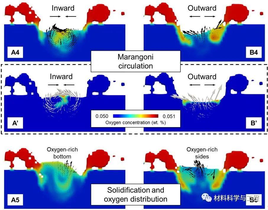 新加坡国立《Acta Materialia》：增材制造过程氧元素对熔池流动的影响 - 知乎