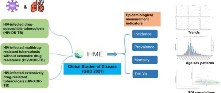 GBD 2021！同个团队同一时间同个数据库发文2篇一区SCI！！ - 知乎