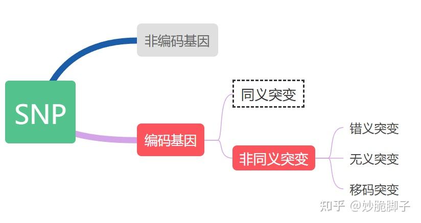 SNP到底是个啥东东？ - 知乎