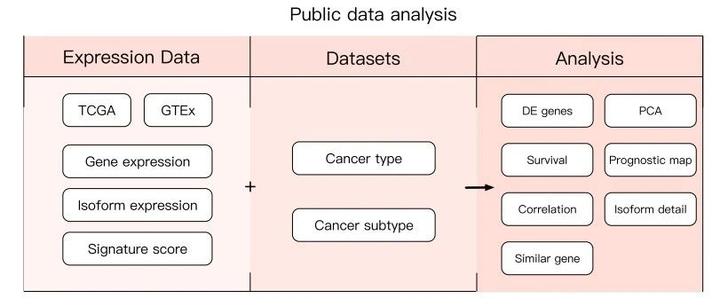 RNA 30. SCI文章中基于TCGA和GTEx数据挖掘神器（GEPIA2） - 知乎