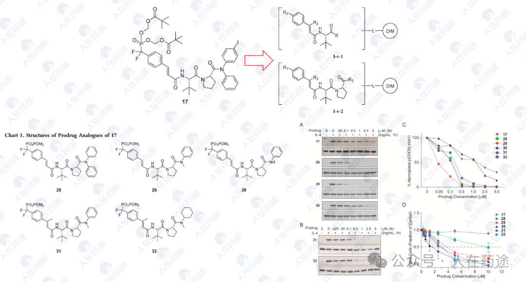STAT6 PROTAC:从专利中推测KT-621的大致结构（前瞻篇） - 知乎