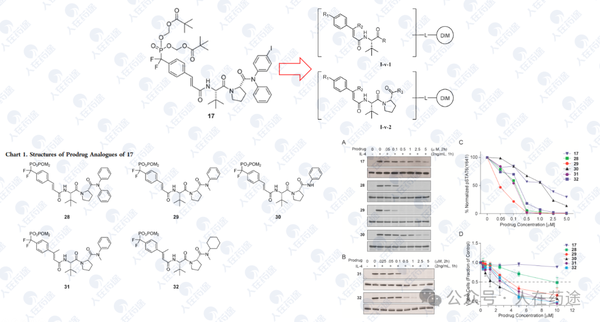 Pharma Journey: Inferring the Approximate Structure of KT-621 from Patent Data: A Prospective ...