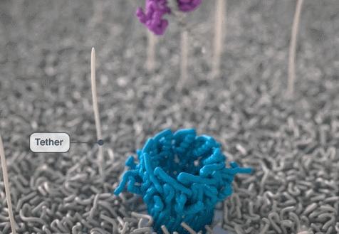 三代测序（Nanopore） - 知乎