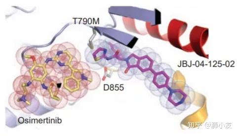 能解决奥希替尼耐药？两款下一代靶向新药崭露头角！ - 知乎