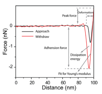 一线大佬详解！关于AFM，读这篇文章就够了 - 知乎