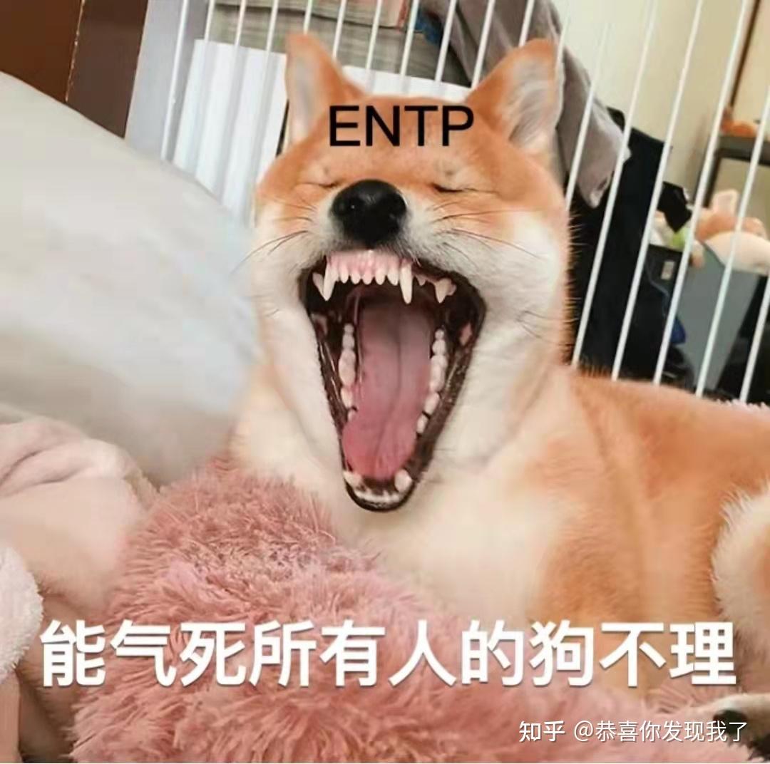 ENTP型人格解析 - 知乎