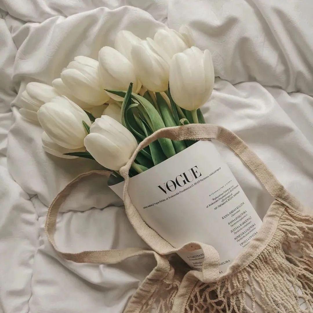 盘点那些ins鲜花背景图｜极致浪漫且高级 - 知乎