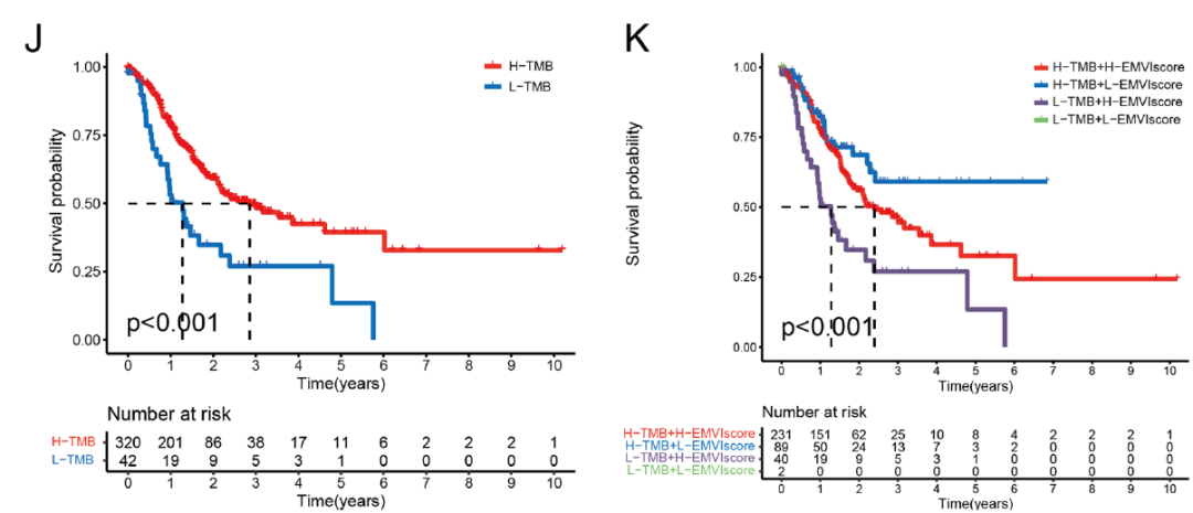 从临床问题切入，分析壁外血管侵犯(EMVI)和免疫相关基因！这篇8分+生信文章极具借鉴意义，还告诉你验证实验这么加更有价值~ - 知乎