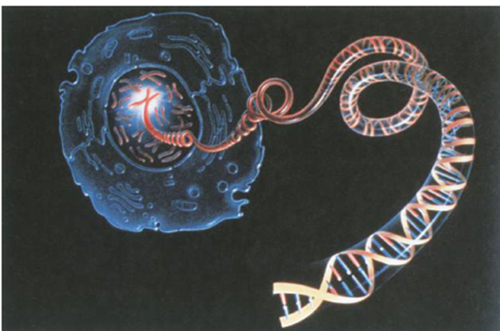 怎么挑选Cas家族蛋白？本文让你轻松搞懂Cas13a、Cas12a/Cas12b、Cas14的区别！ - 知乎
