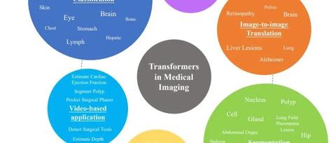 南京大学医学院最新《Transformer医学图像处理应用》综述论文，涵盖120多种Transformers方法及在医疗临床应用 - 知乎