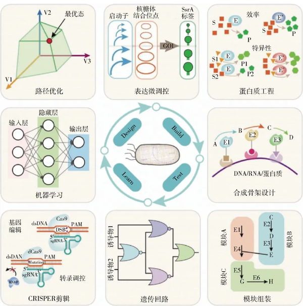 科技引领的未来食物，你敢吃吗？你想吃吗？ - 知乎