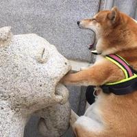 PCAN-Basic API 的二次开发编程（Windows版本） - 知乎