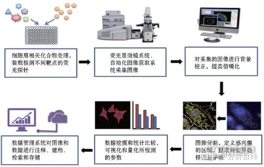 一文读懂|高内涵筛选缘何成为新药研发的宠儿 - 知乎