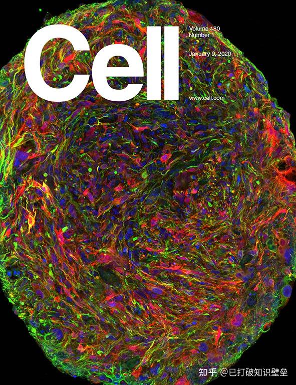 Nature、Science、Cell最新PDF合订本，都在这里了！ - 知乎
