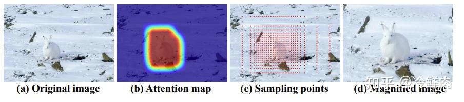 Segment, Magnify and Reiterate: Detecting Camouflaged Objects the Hard Way - 知乎