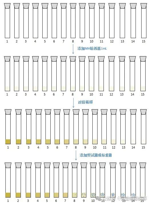 微生物药敏试验（二）：稀释法 - 知乎