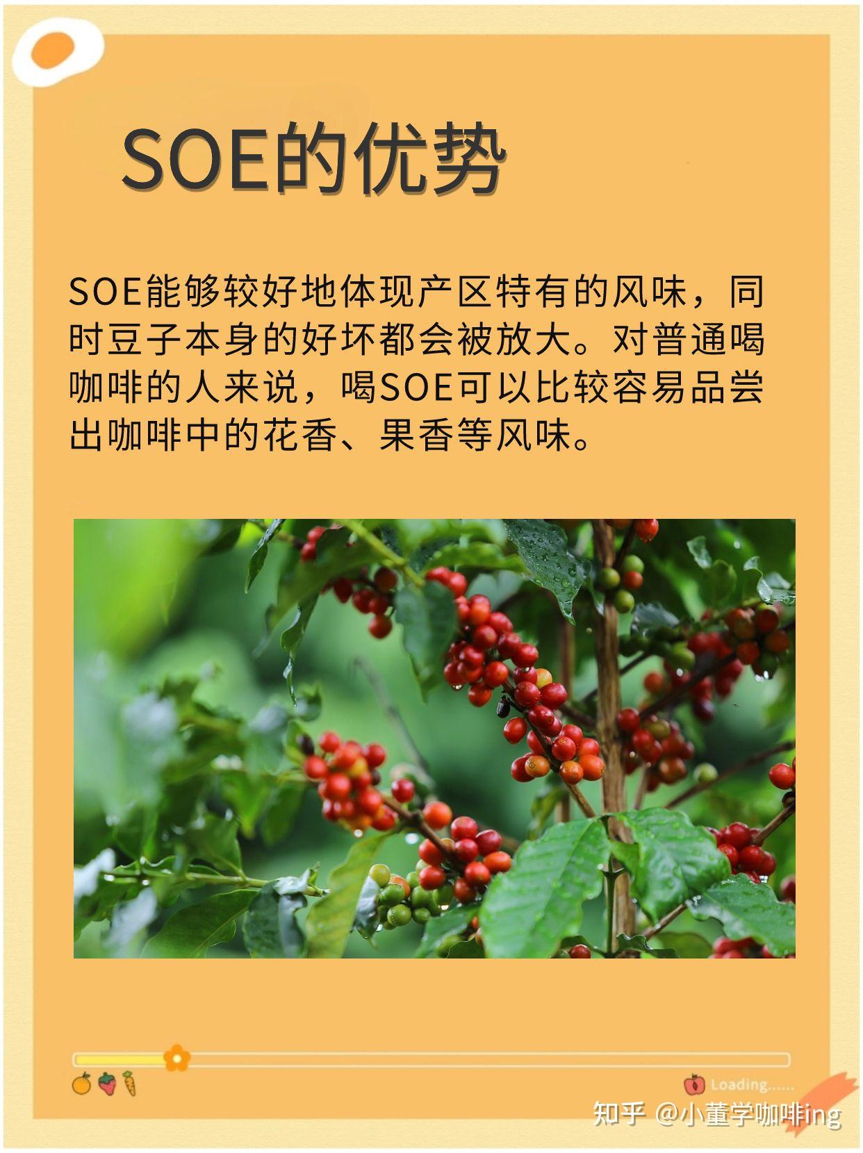 咖啡小知识——SOE是什么？ - 知乎