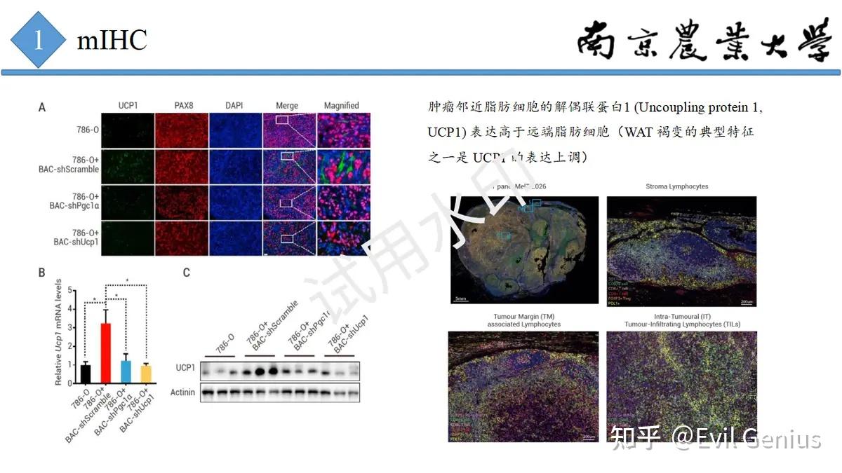 第26课PPT--CODEX（IMC、mIHC）基础分析梳理 - 知乎