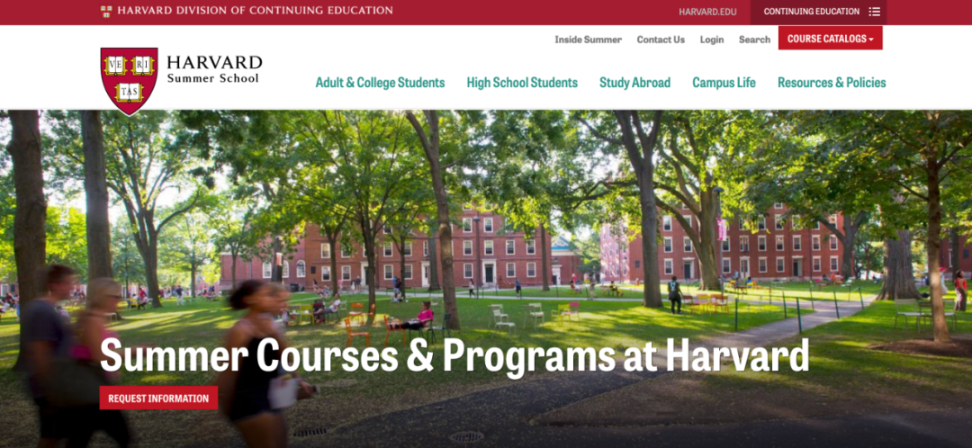 明年夏天 我们该何去何从 - 知乎