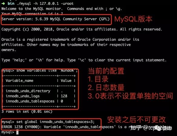 详解 Mysql 的 Undo Log 知乎 