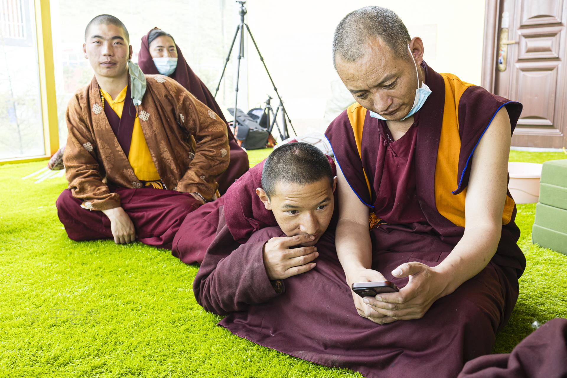 纯拍照 微单佳能 r8 r62选哪个? - 知乎