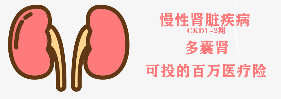 这是一款慢性肾脏疾病CKD1~2期、多囊肾、三高人群可投保的百万医疗险（附科学实用投保建议） - 知乎