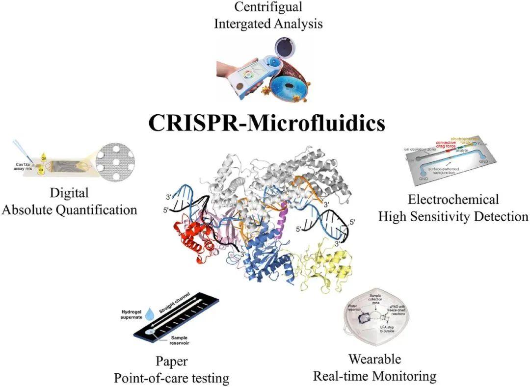 基于CRISPR的微流控分析及应用研究综述 - 知乎