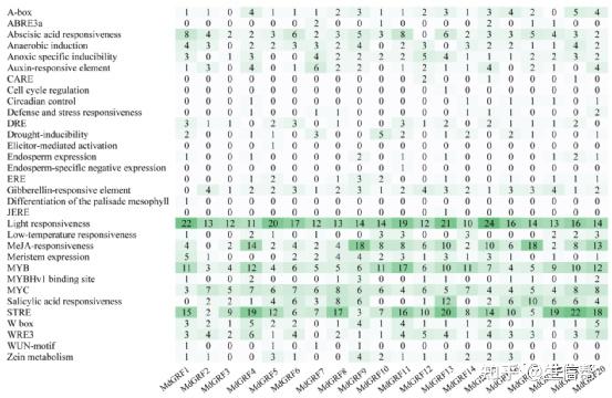 基因家族详解-GRF基因家族的全基因组鉴定和特征分析 - 知乎