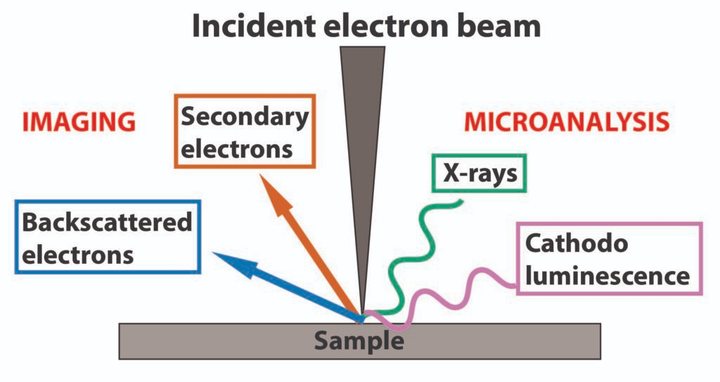 完全弄懂扫描电子显微分析(SEM)——入门版 - 知乎