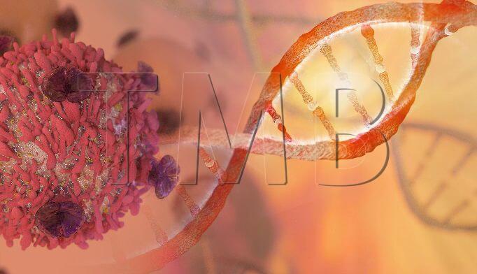 TMB预测价值一探究竟 - 知乎