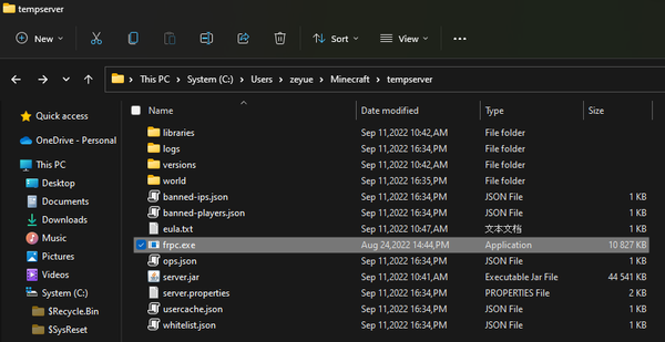 Minecraft Java版开服教程 - 知乎