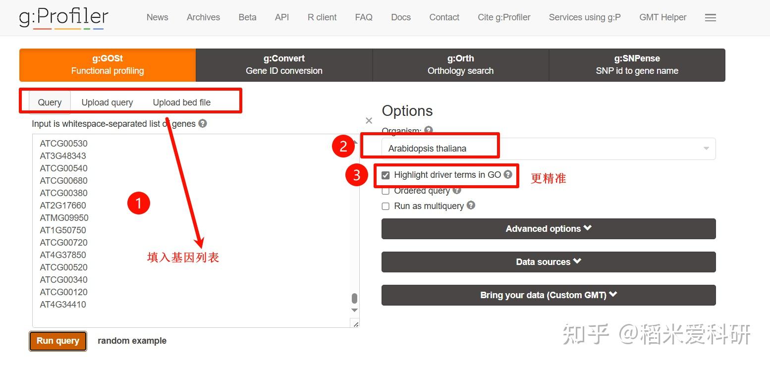gProfiler-web版好用的基因组学工具 - 知乎