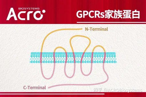 破译骨髓瘤的黄金靶点：GPRC5D全平台解决方案领航新药研发 - 知乎