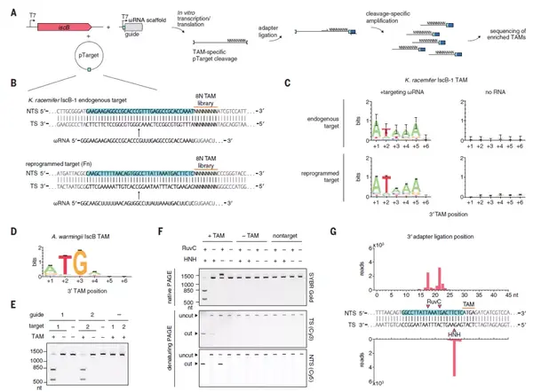 Science | 张峰：利用RNA来定位DNA位置的蛋白的数量和种类可能远超想象 - 知乎