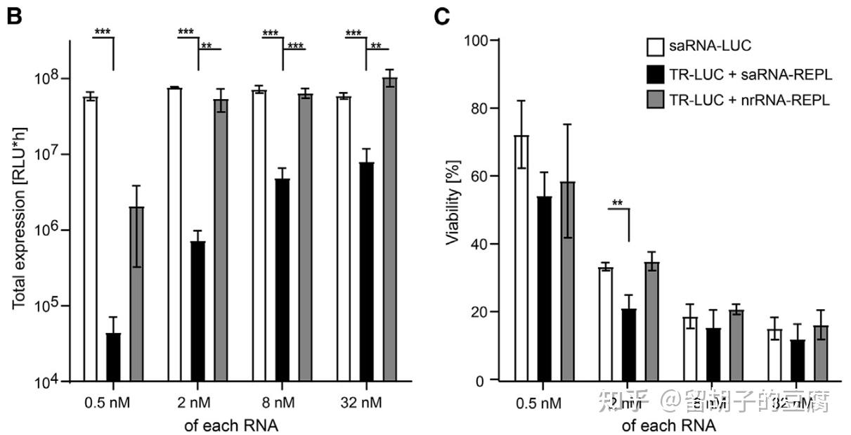 综述|自复制RNA质粒载体序列优化设计策略 - 知乎
