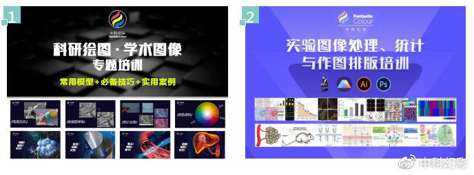 Angew主编告诉你：投稿中巧妙避坑的“绝招”竟然是… - 知乎