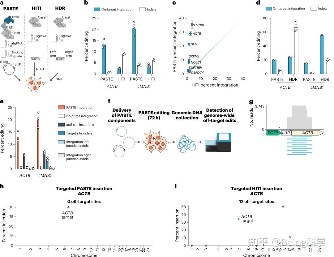 无需DNA双链断裂！基因组编辑新利器可实现超长序列高效插入 - 知乎