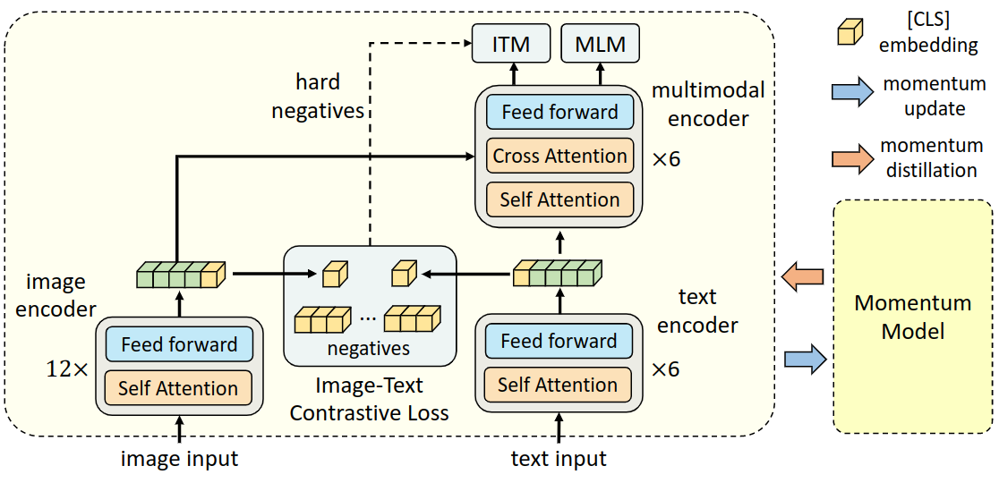 多模态超详细解读 (三)：ALBEF：图文对齐后再融合，借助动量蒸馏高效学习多模态表征 - 知乎