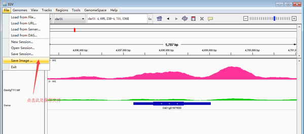 ChIP-seq/DAP-seq/ATAC-seq/CUT&Tag结果可视化-IGV使用攻略 - 知乎