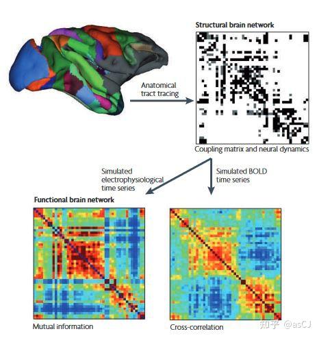 Complex brain network: graph theoretical analysis of structural and functional systems（review）（待 ...