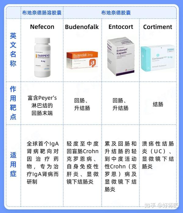 别再弄错！不是所有“布地奈德”都能治IgA肾病 - 知乎